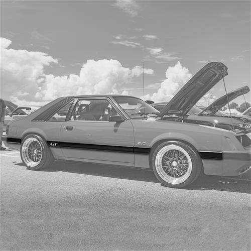 Mustang Body Side Molding Kit - 10 piece (85-86) GT