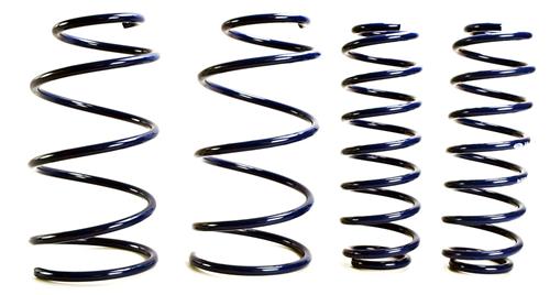 Ford Performance 2013 Cobra Jet Drag Spring Kit | (05-14) M-5300-RA